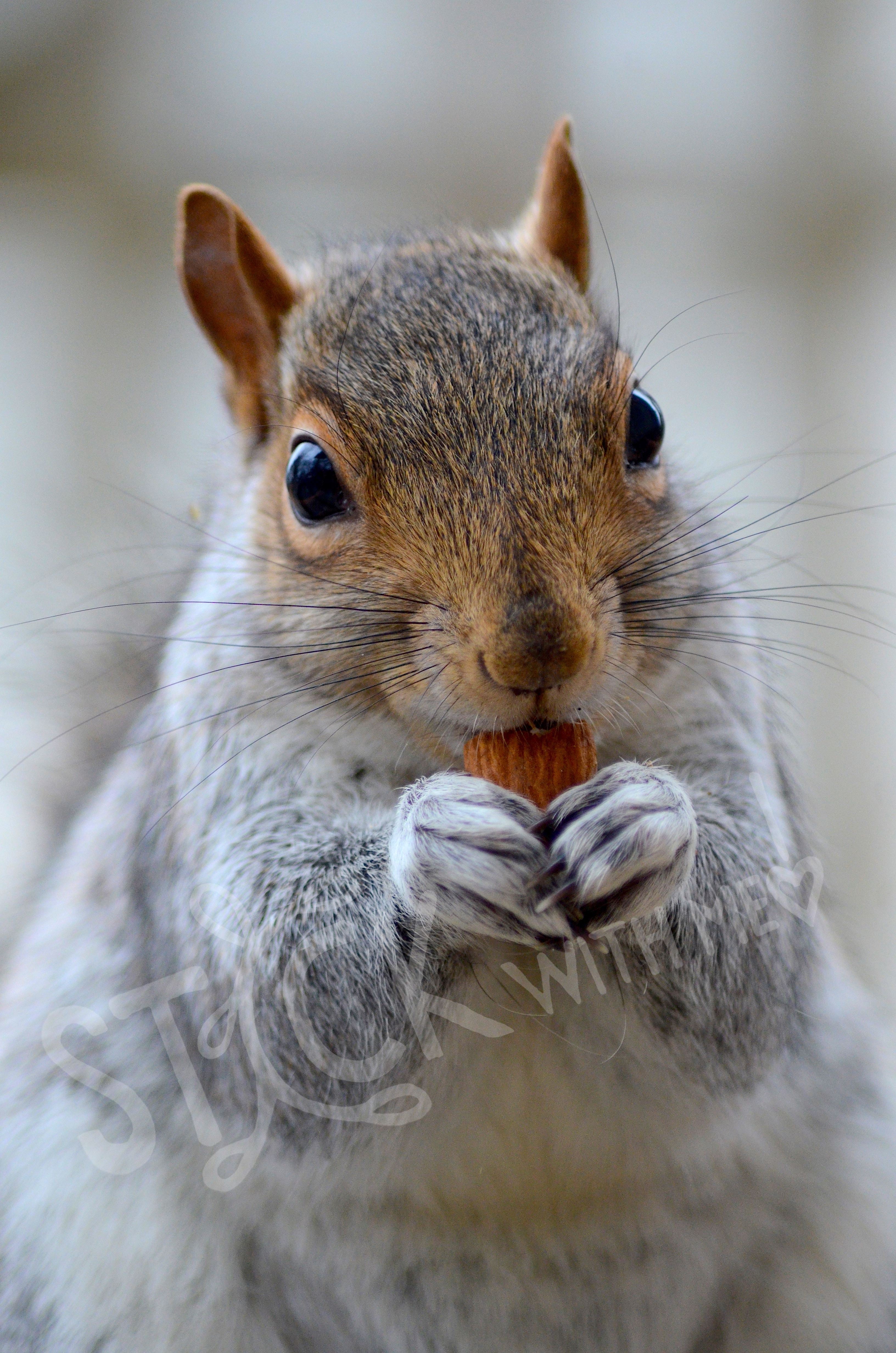 PHOTOGRAPHY PRINTS – Stick With Me!